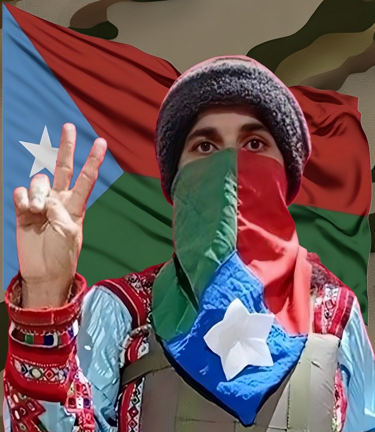 BLA Honours its Watan Nadrig for Courageous Attack on FC Convoy in ...